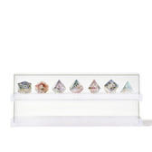 Modular Dice Display Box | Dispel Dice®